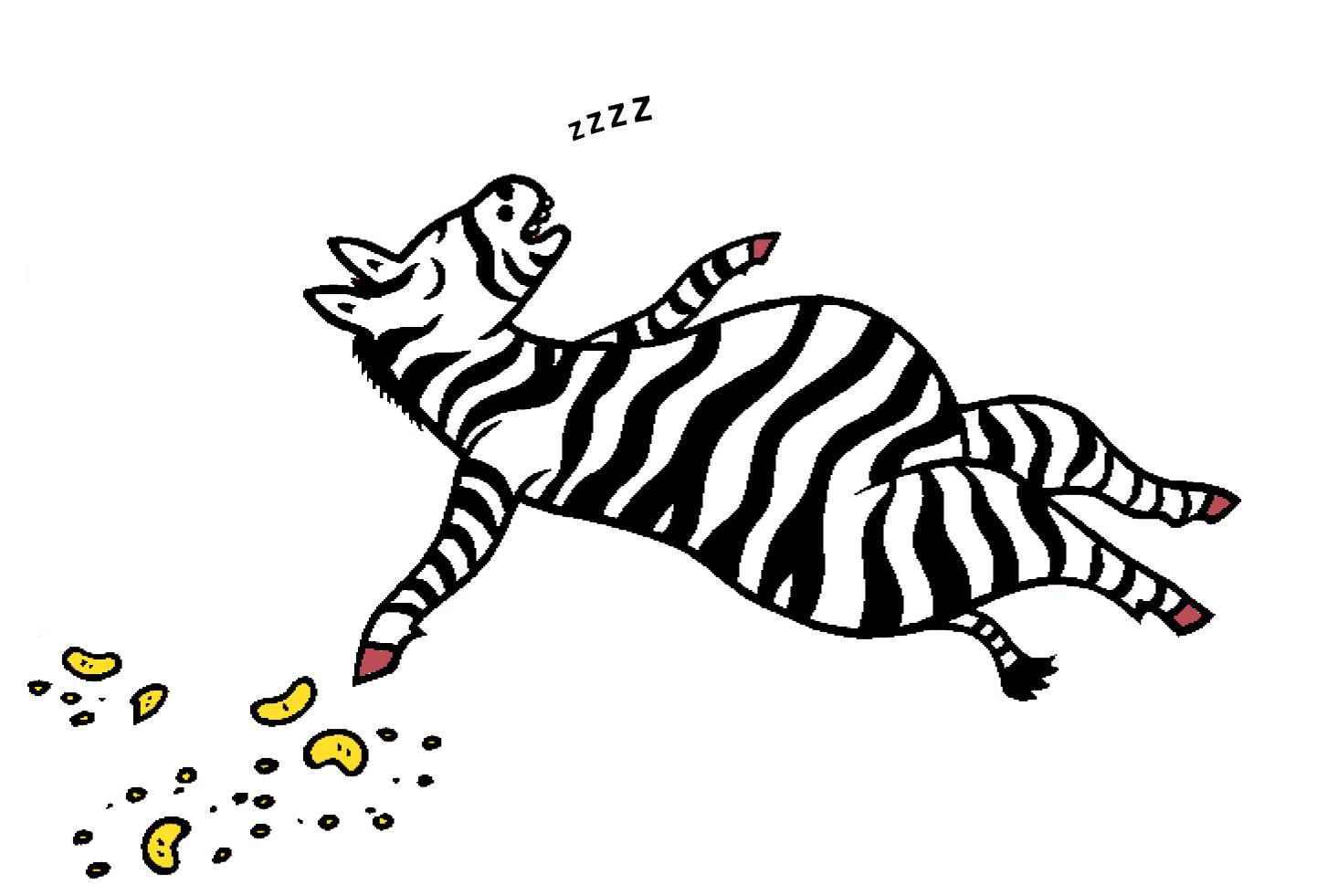 Q&A | Gecko Press Children's Books