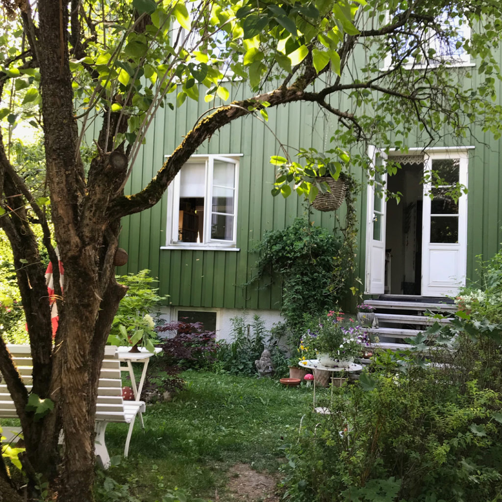 Day in the life of illustrator Anna Fiske | Gecko Press