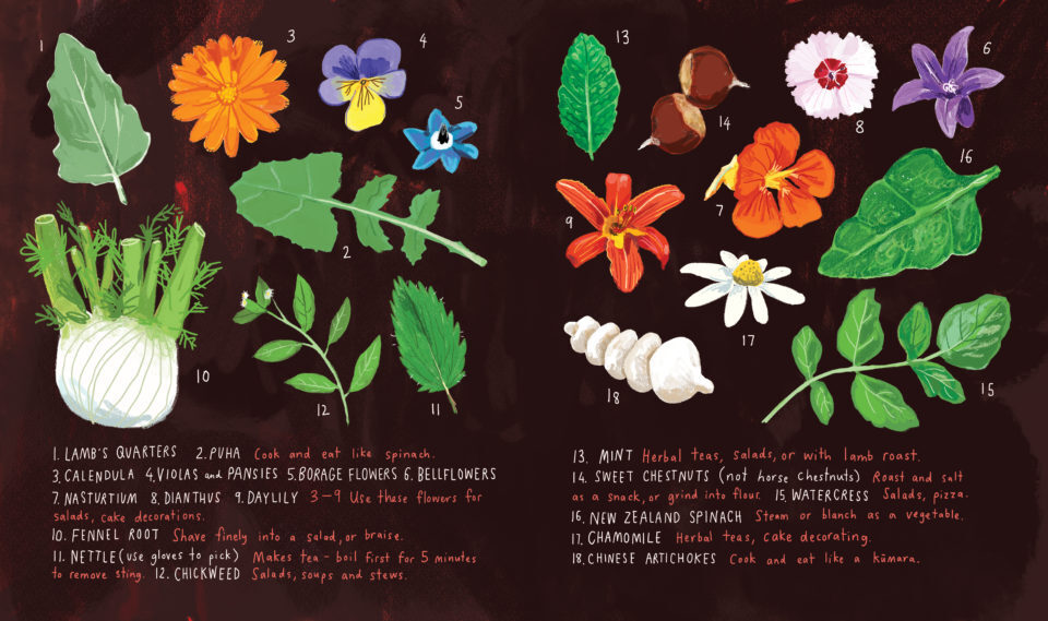 Egg & Spoon: Author Alexandra Tylee interviews Illustrator Giselle ...